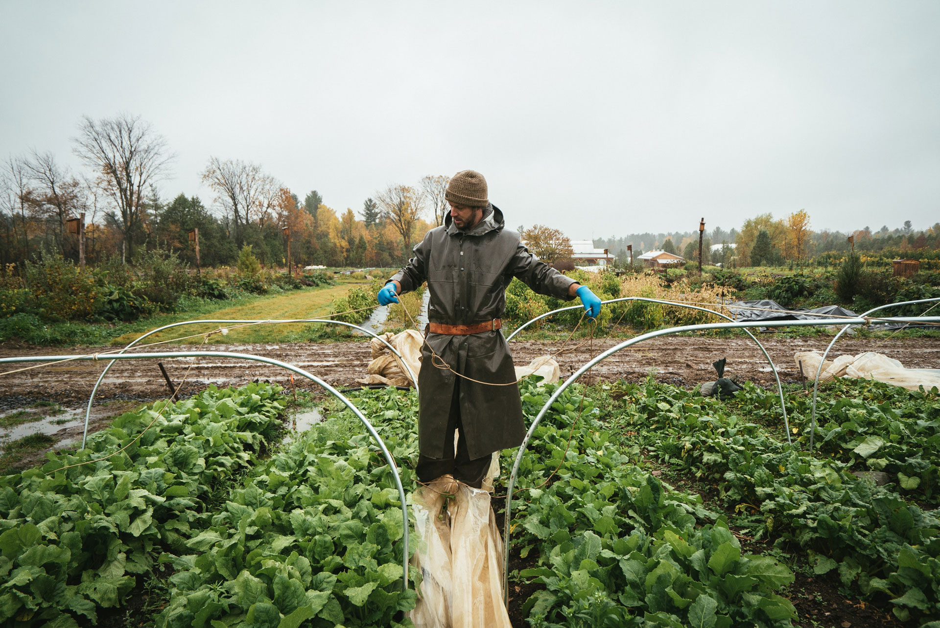 Introduction au maraîchage | Formation | Institut jardinier-maraîcher