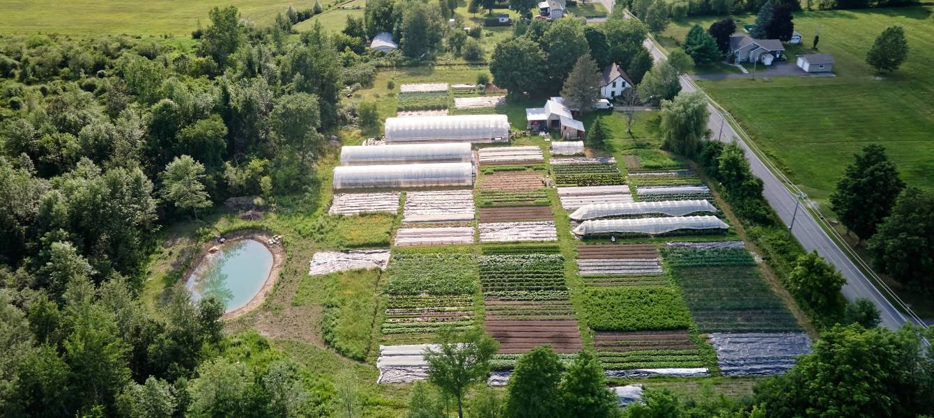 6 Things to Consider Before Choosing Farmland - The Market Gardener