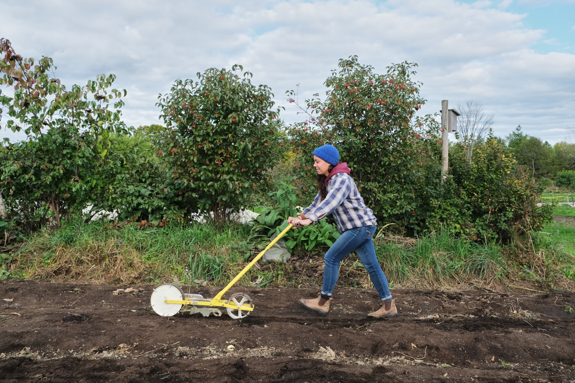 Tips and Tricks to Make the Most of Your Jang Seeder - The Market Gardener