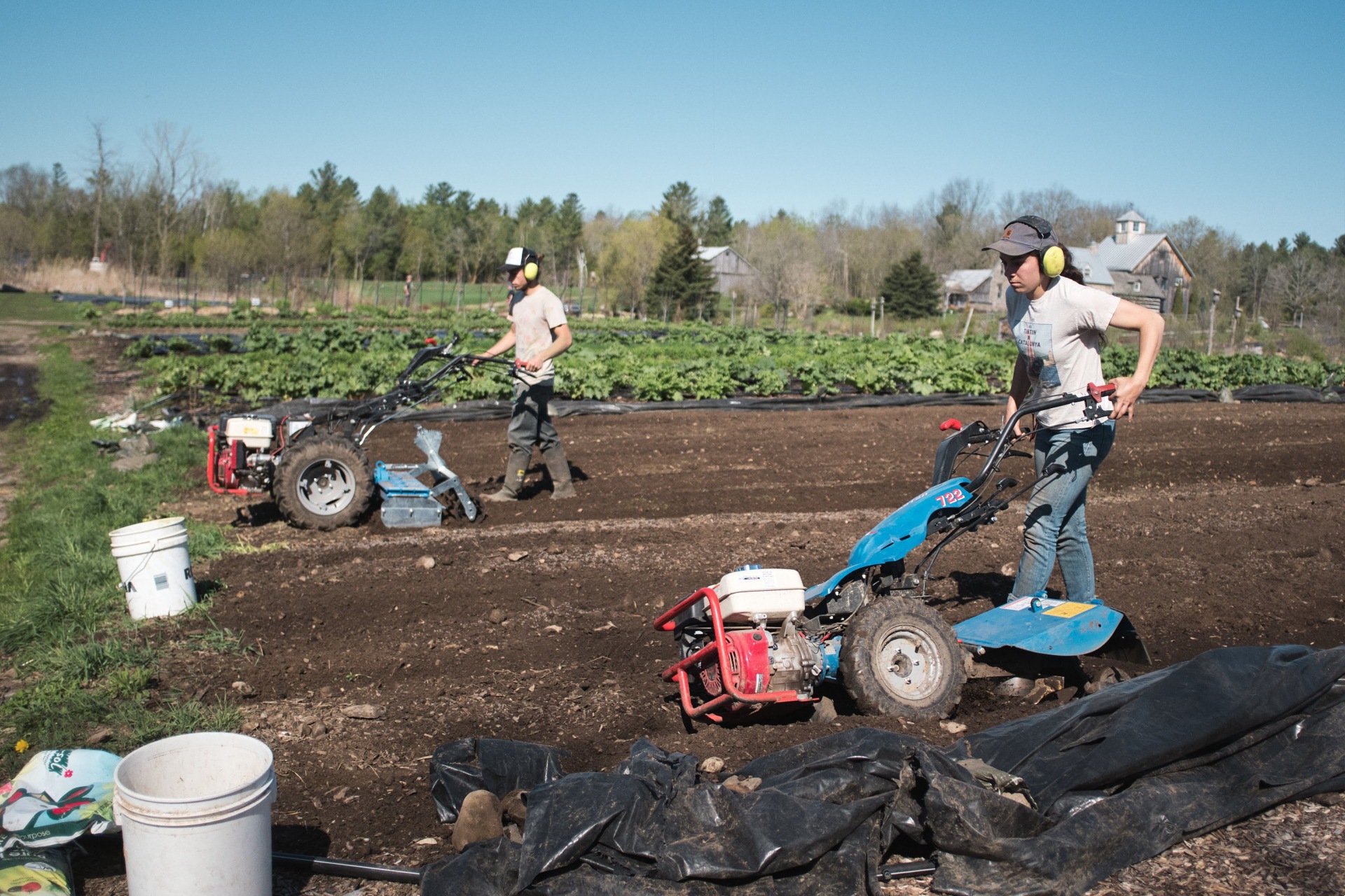 The Top 5 Tools for Every Market Garden - The Market Gardener