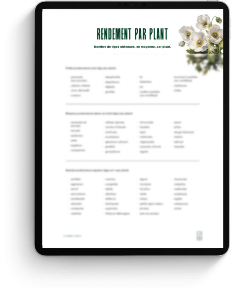 Variétés de dahlias les plus rentables à cultiver - Le jardinier-maraîcher