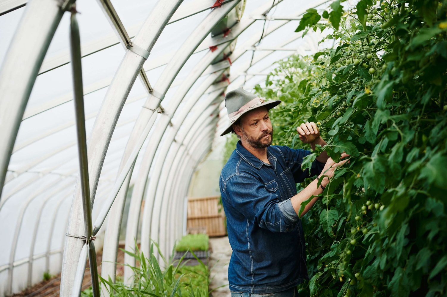 Prévention des ravageurs en serre: le guide ultime pour réussir - Le ...